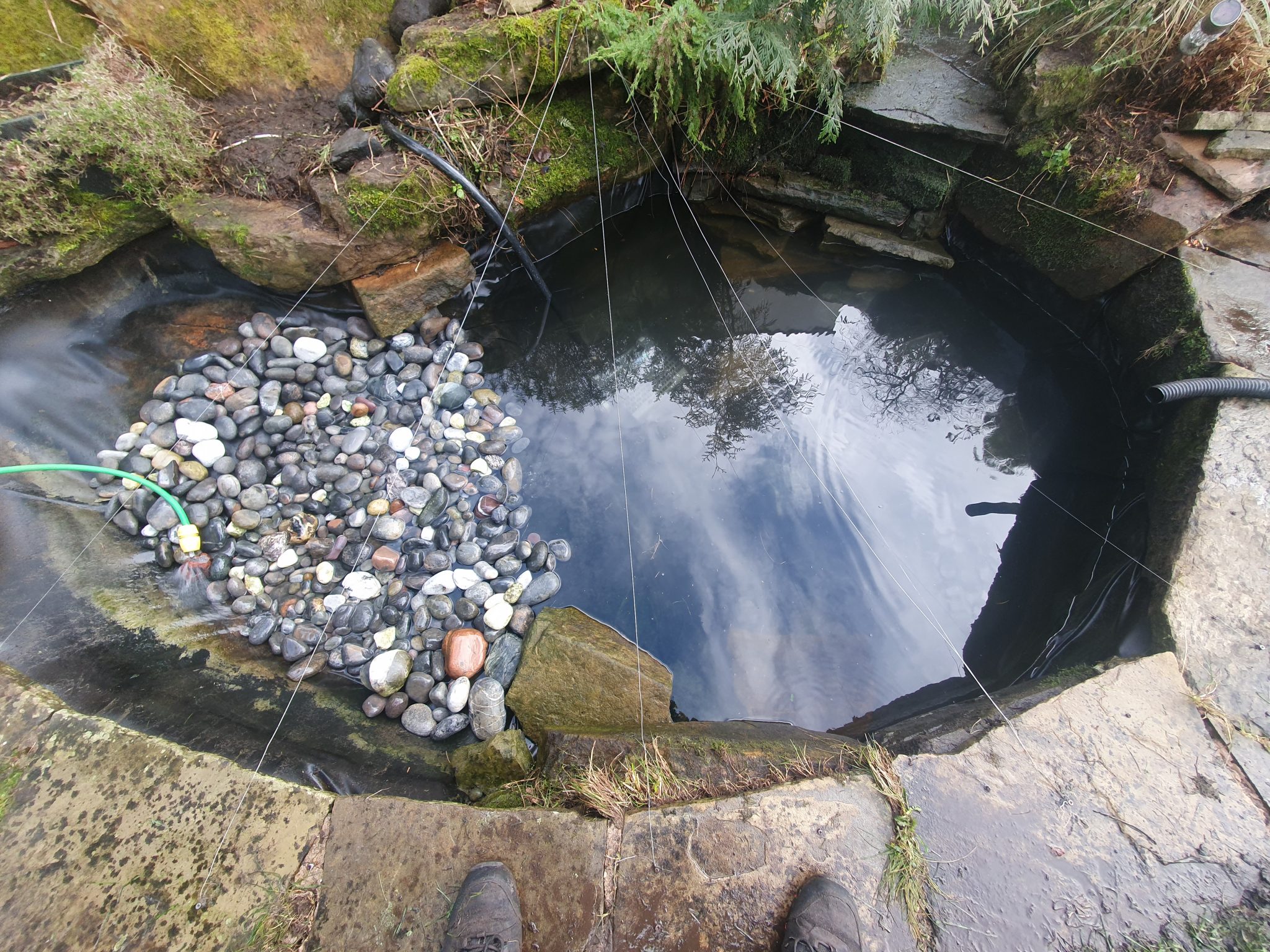 A Full Pond Clean On An Old Goldfish Pond - Wilmslow, Cheshire - JPM ...