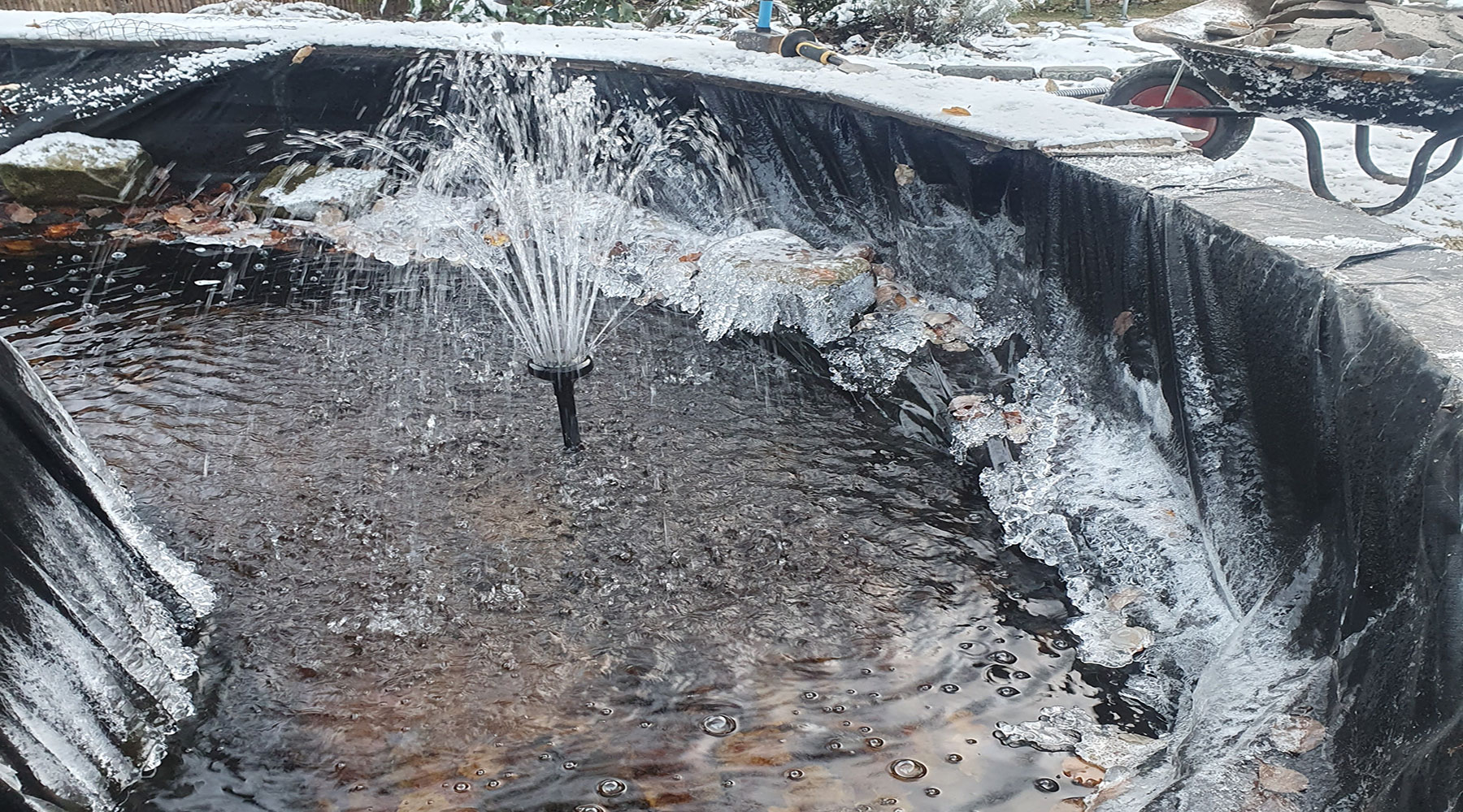 Help Guides on looking after your Pond and Garden